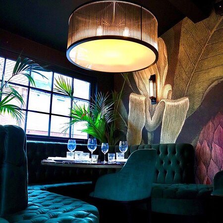 Introducing FIGO, The new Italian concept with big ambition - Essex-TV