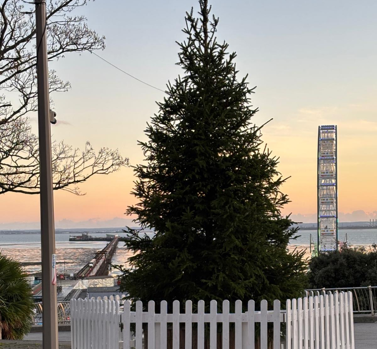 Two Christmas Trees installed in Southend city centre - Essex-TV